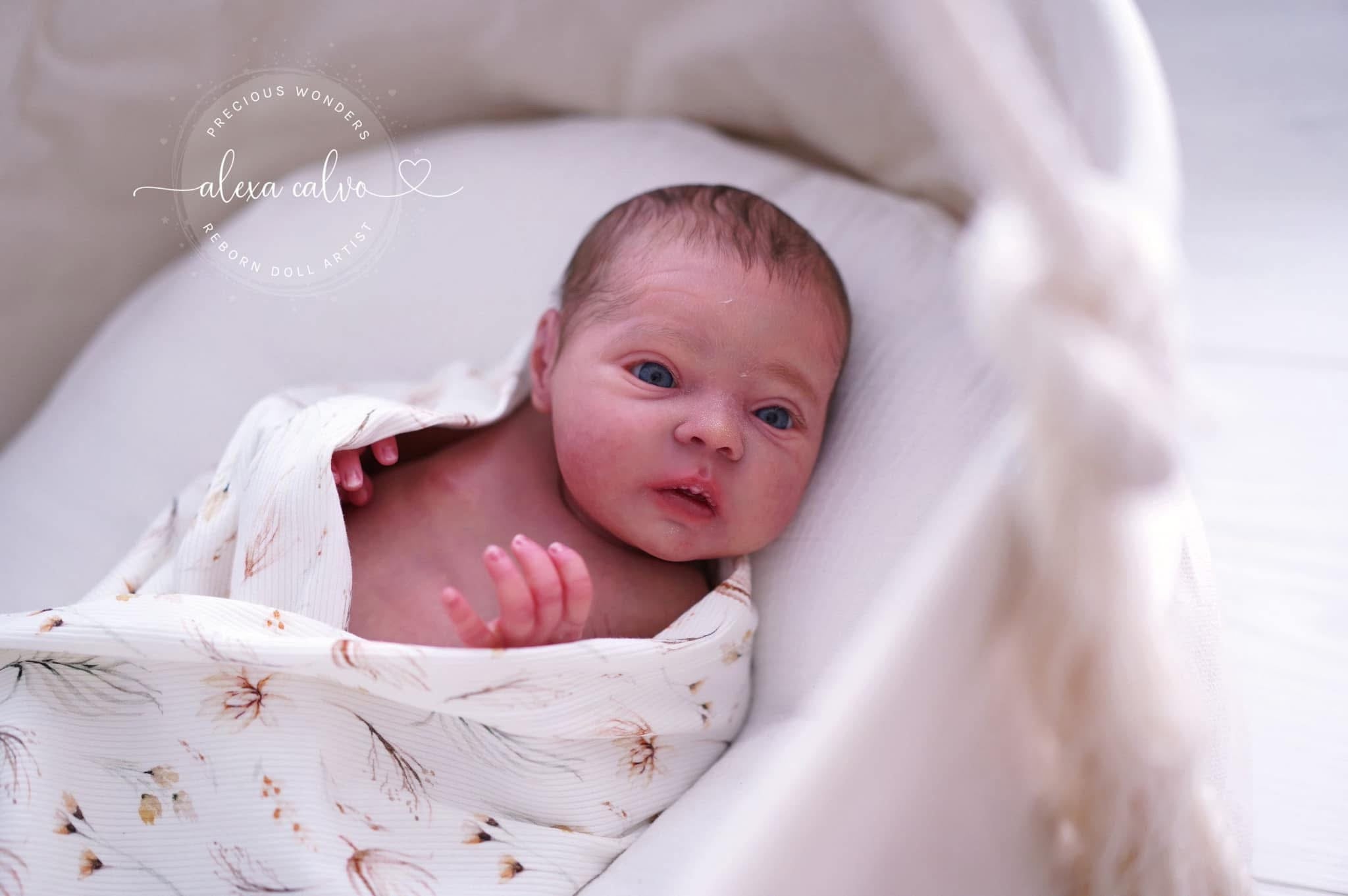 MAYVEN by Vivian Aleluia | truborns