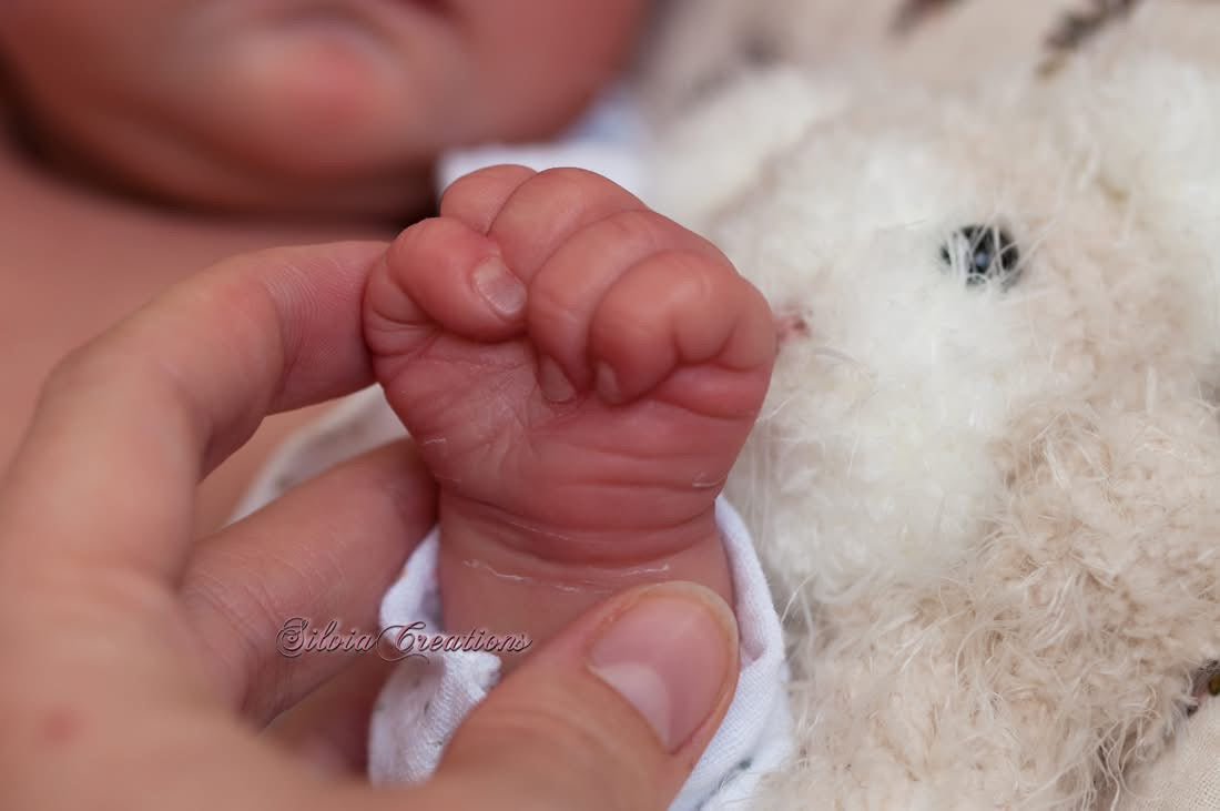 HAVEN by Izzy Zhao | truborns