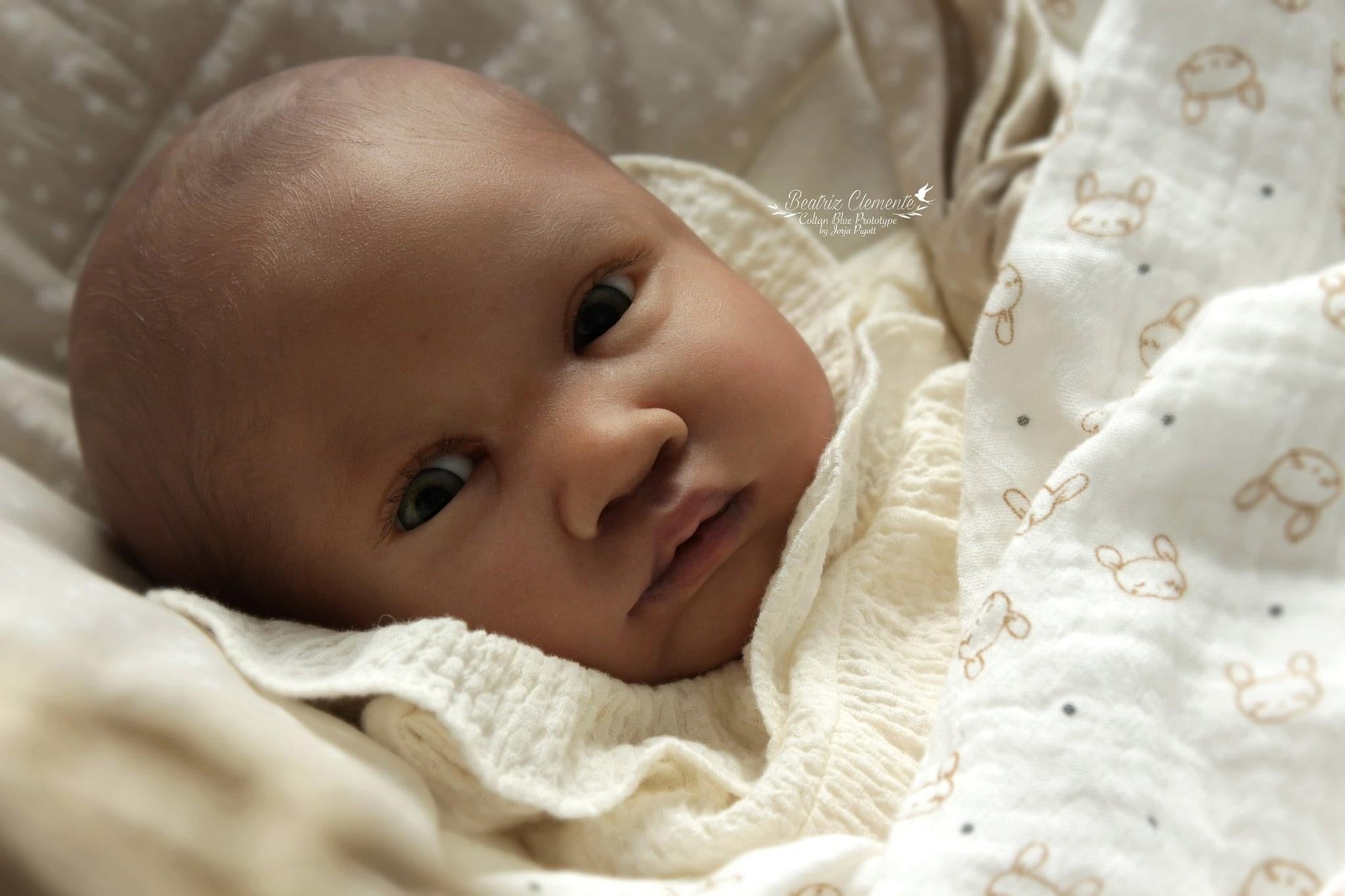 Coltan Blu by Jorja Pigott | truborns